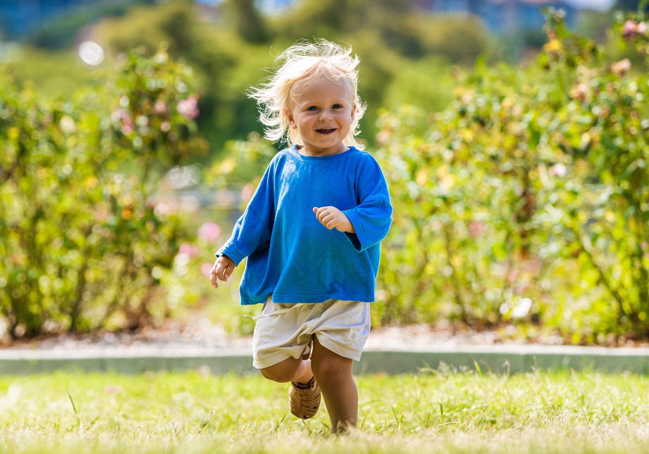 Arlo's Christmas to remember - Children's Hospital Foundation